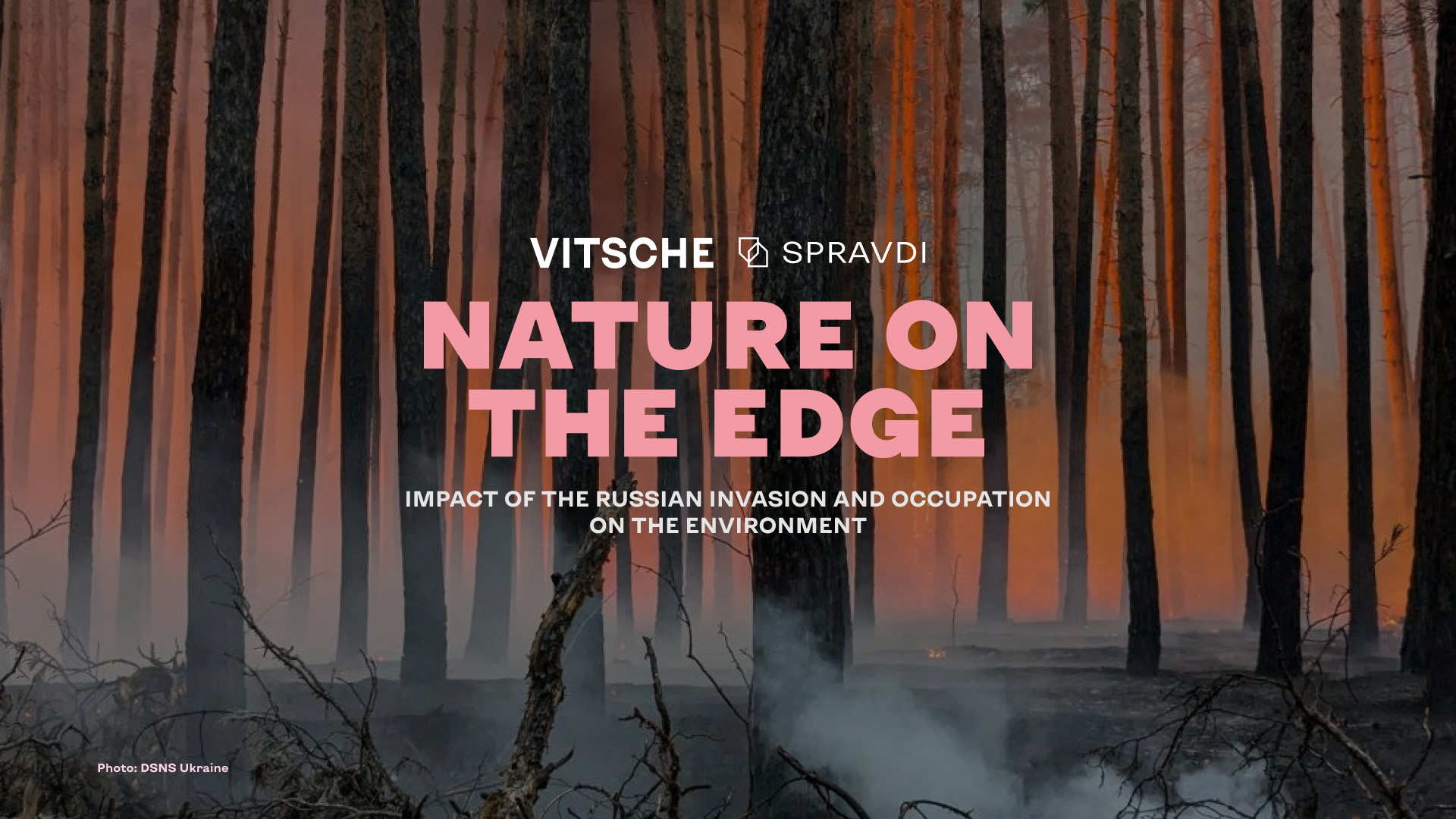 projects - Vitsche e.V.